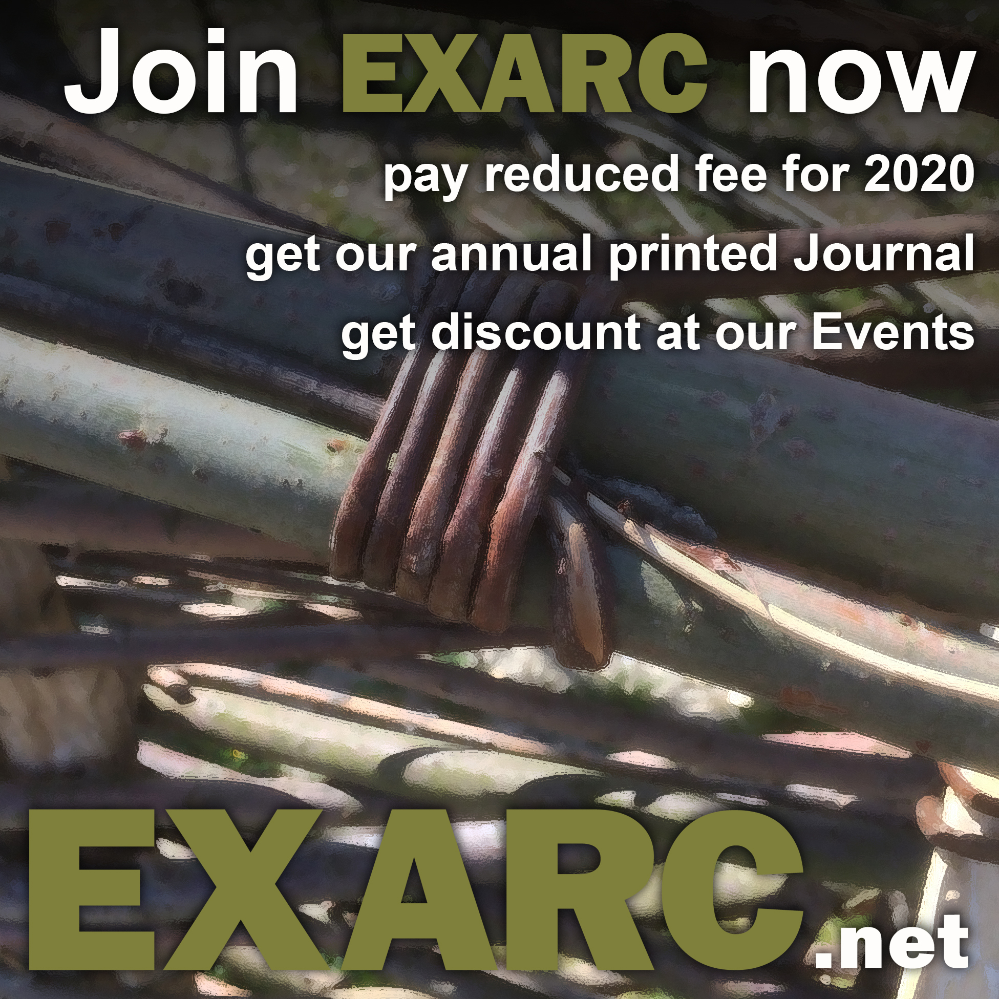 Welcome to EXARC | EXARC